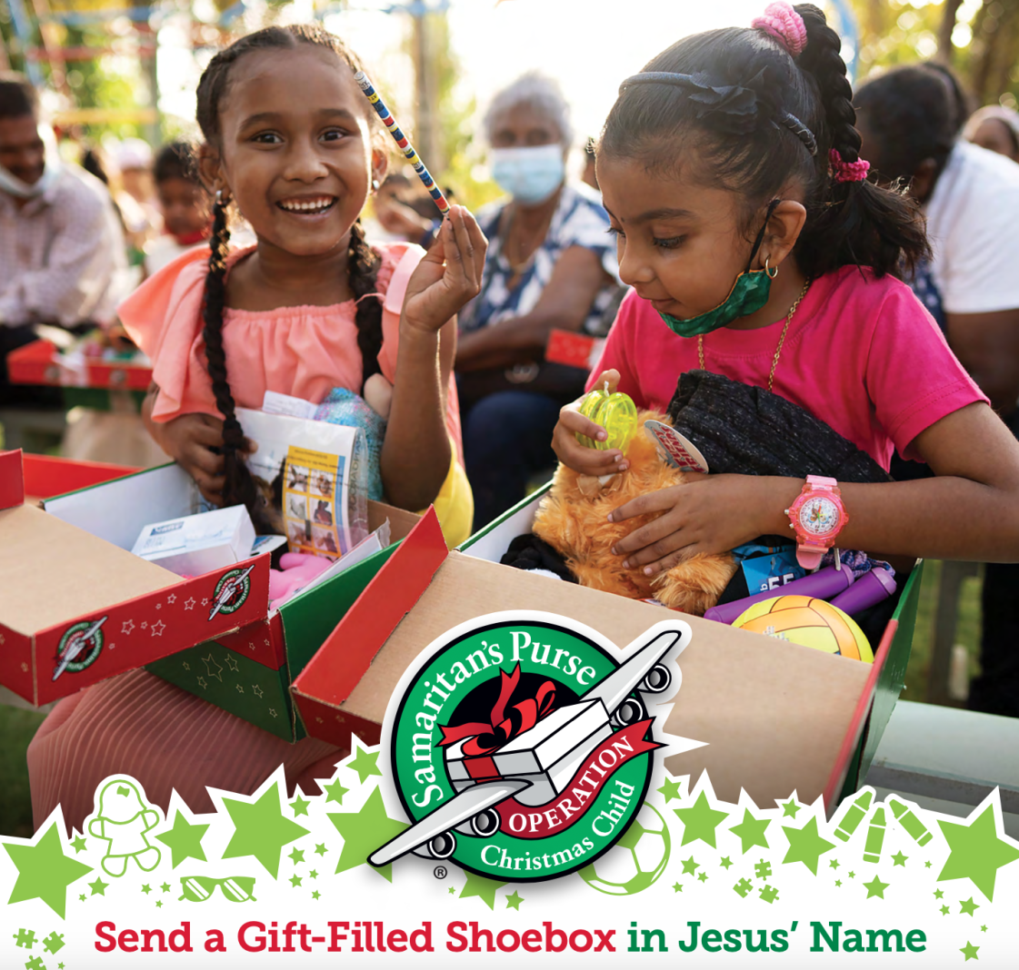 MLMC | Mount Lilydale Mercy College