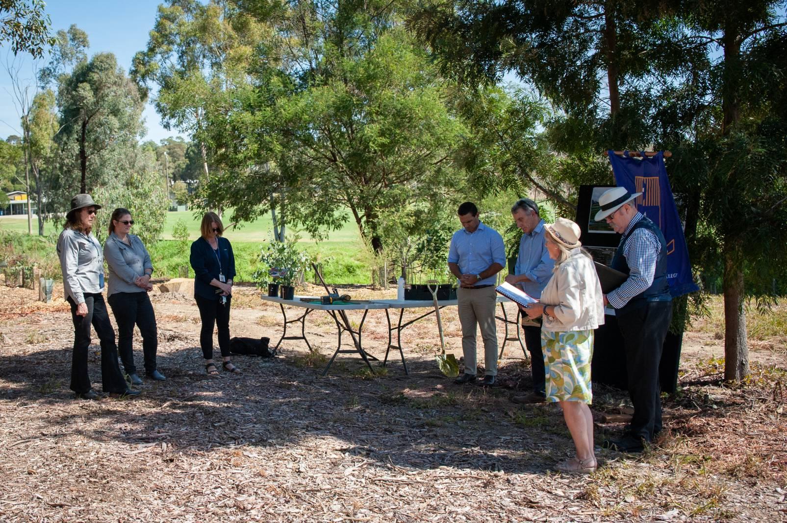 MLMC | Mount Lilydale Mercy College