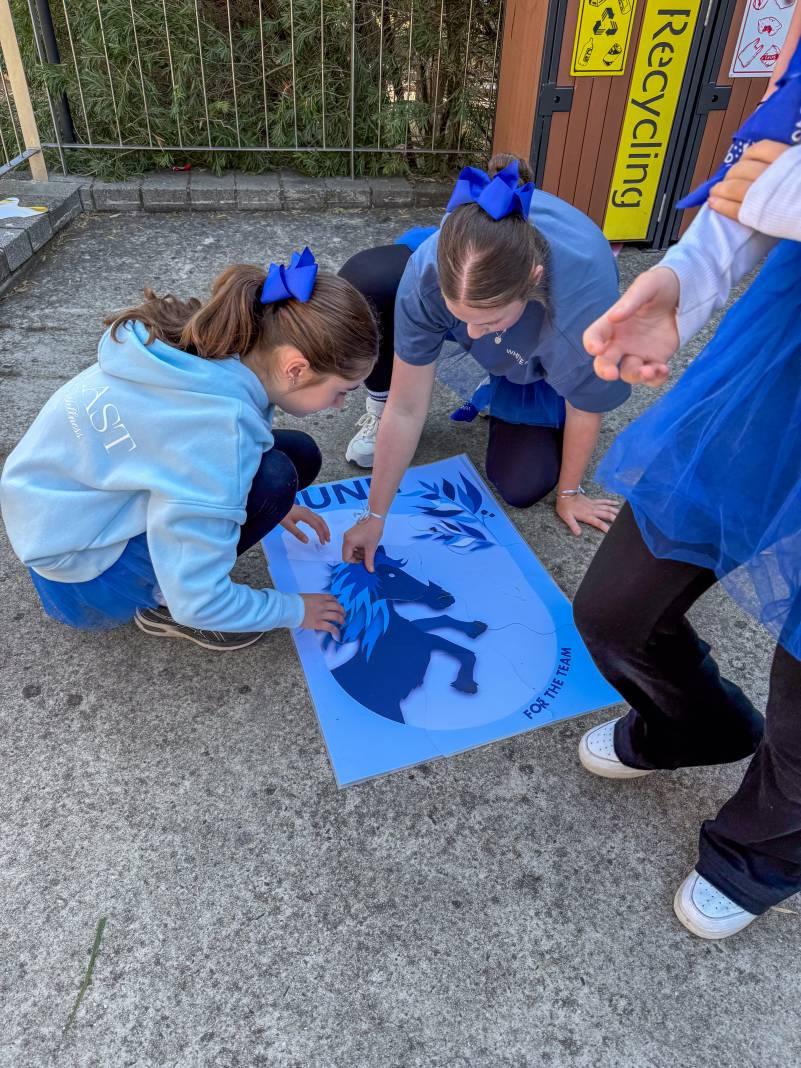 MLMC | Mount Lilydale Mercy College