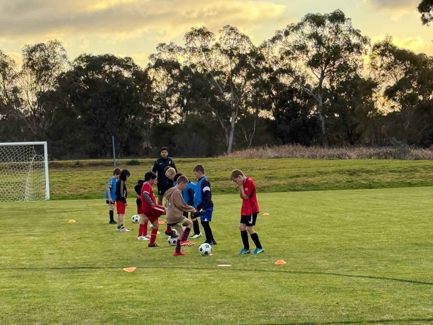 MLMC | Mount Lilydale Mercy College